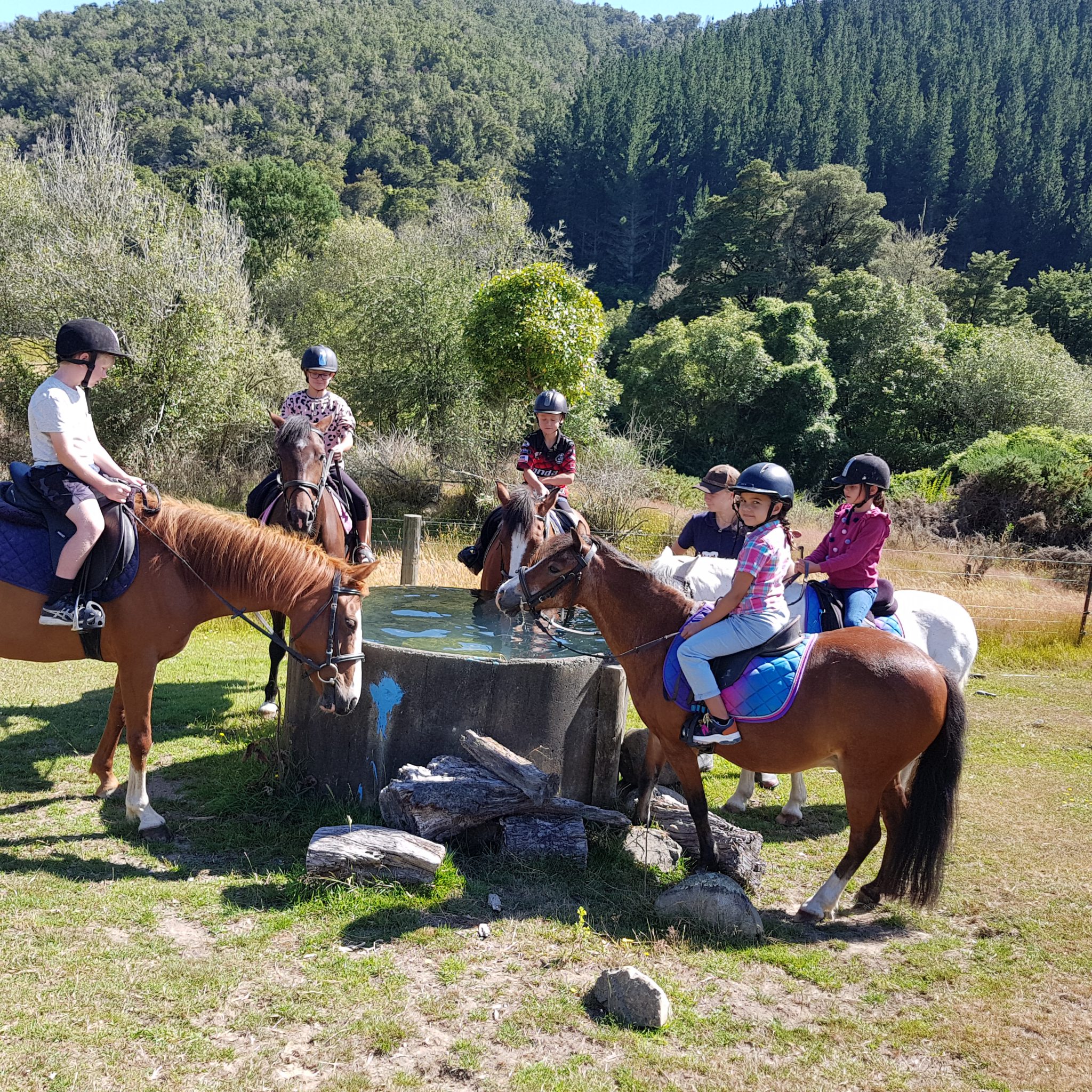 Busy, Busy at Wild Oats Farm. - Wild Oats Farm